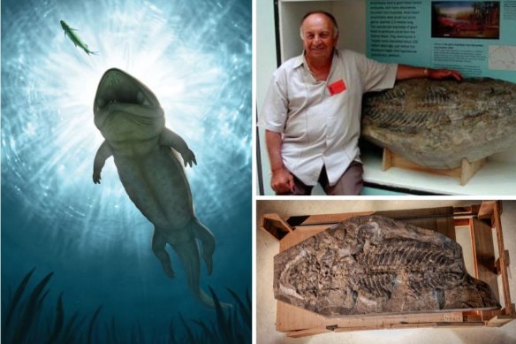 Scientists finally identify 240 million-year-old Central Coast fossil