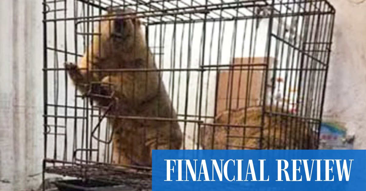 COVID-19 lab leak finding ‘ludicrous’: virology expert Eddie Holmes ...