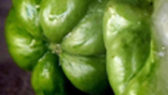 Roasted chokoes with free range chicken