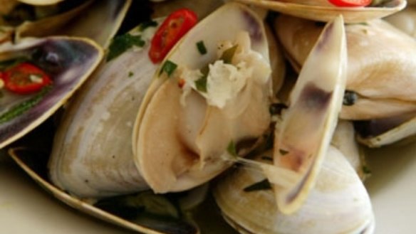Steamed pipis in wine with tomato and garlic
