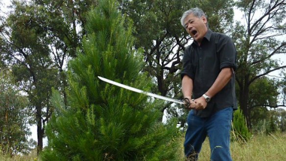 Samurai-sword wielding Christmas tree grower