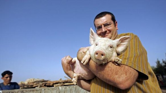 Pig farms bloom in Muslim Morocco