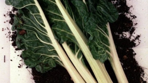 Silver beet with lemon and olive oil