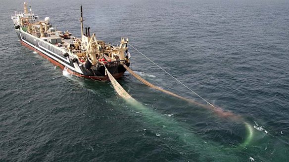Scientist blasts trawler decision as 'staggering and dangerous'