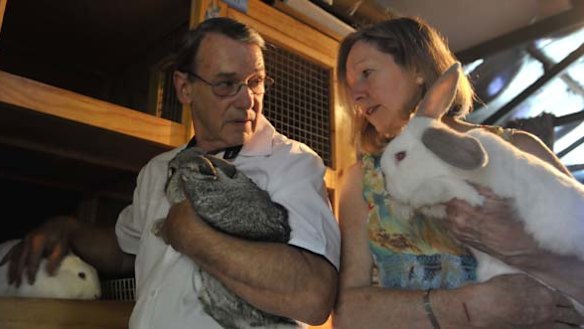Fur flies over fate of Dandenongs rabbit refuge