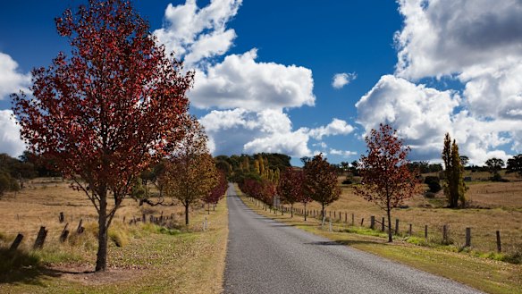 Tenterfield, New South Wales: Travel guide and things to do