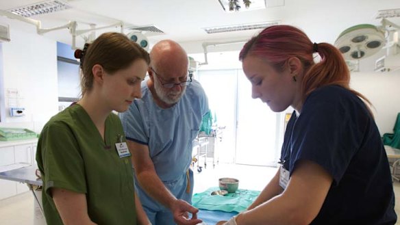 Matrix magic makes veterinary surgery less intimidating