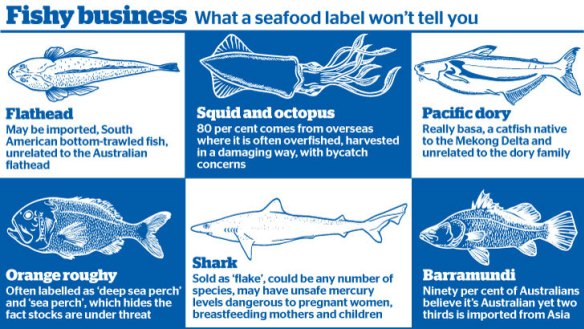 Label My Fish calls for an overhaul of fishy seafood labelling