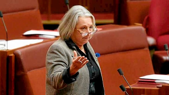 Senator Sue Boyce aims parting shot at Coalition's lack of women