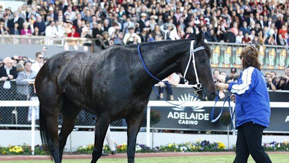 Caller puts art before the horse