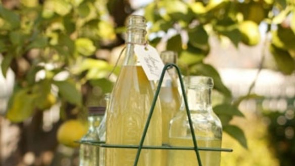 Lemon Cordial Recipe Stephanie Alexander - Home Alqu