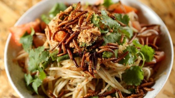 Insects on the menu at the Melbourne Night Noodle Markets