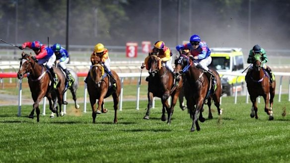 Canberra trainer scores treble