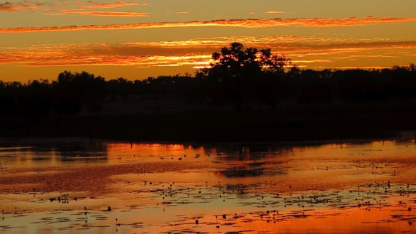 Cooranbong, New South Wales: Travel guide and things to do