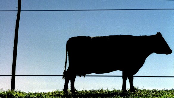 Tatura, Victoria: Travel guide and things to do