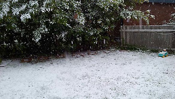 Weather set to turn wild in Sydney as snow falls across NSW