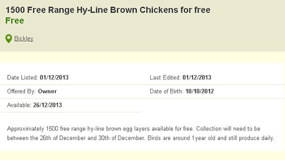 Free chicken giveaway no paltry offer