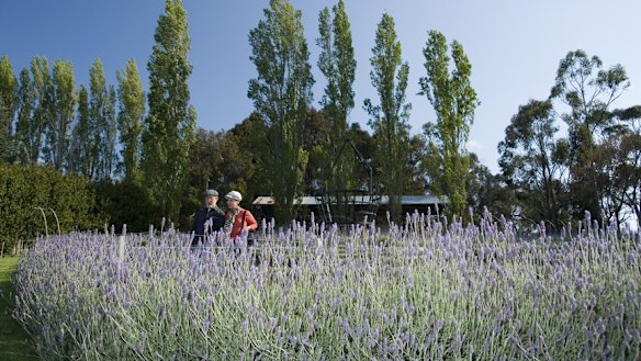 Shoreham, Victoria: Travel guide and things to do