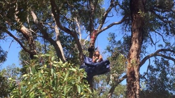 Council slammed for facilitating 'illegal' Roe 8 protests