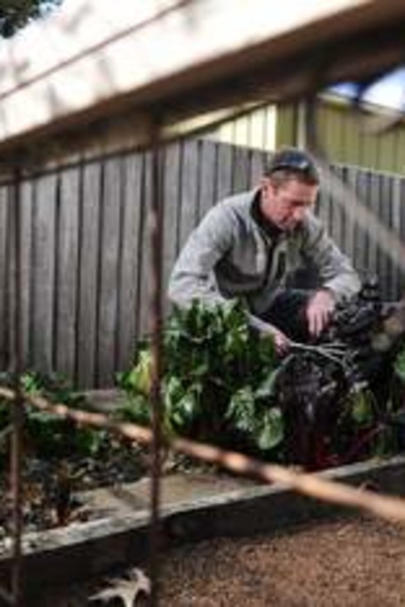 Kingston cottage food bowl