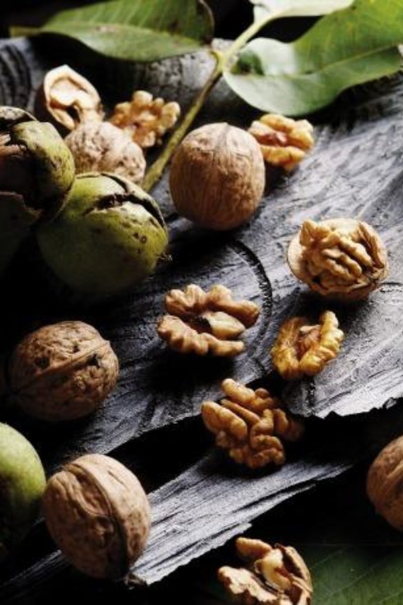 How to grow walnuts in Canberra