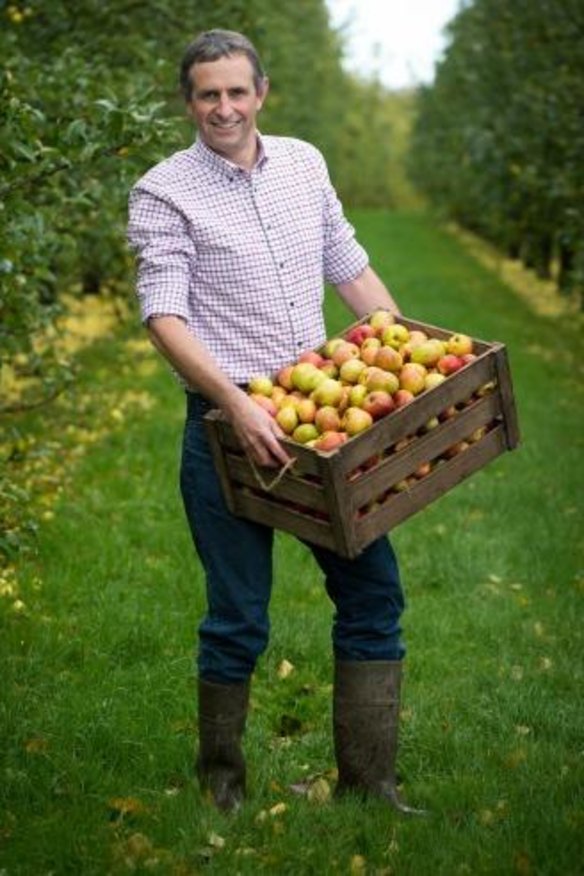 The rise of cider