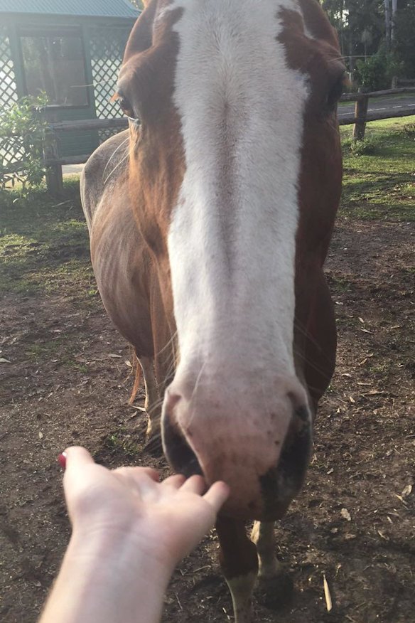 Darling was promised a new home. Instead, she went to the doggers