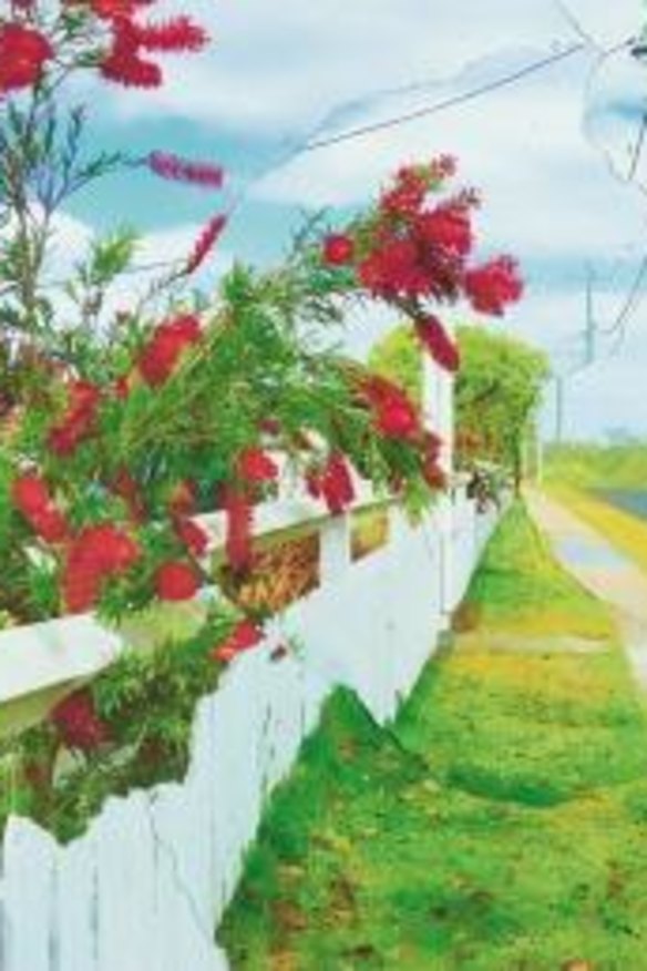 Artist Tracey Moffatt discusses new 'chat show' art work for Queensland ...