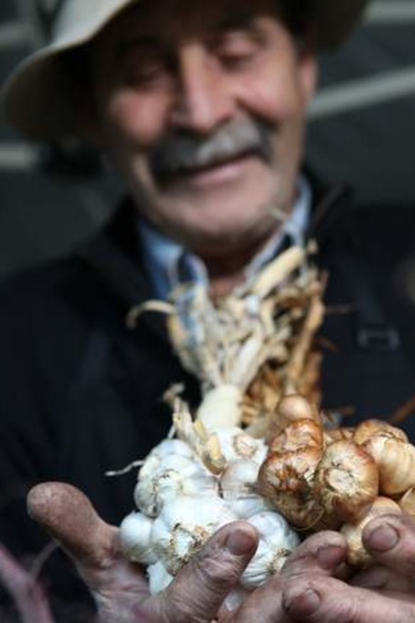 Taste of victory in battle of the bulb