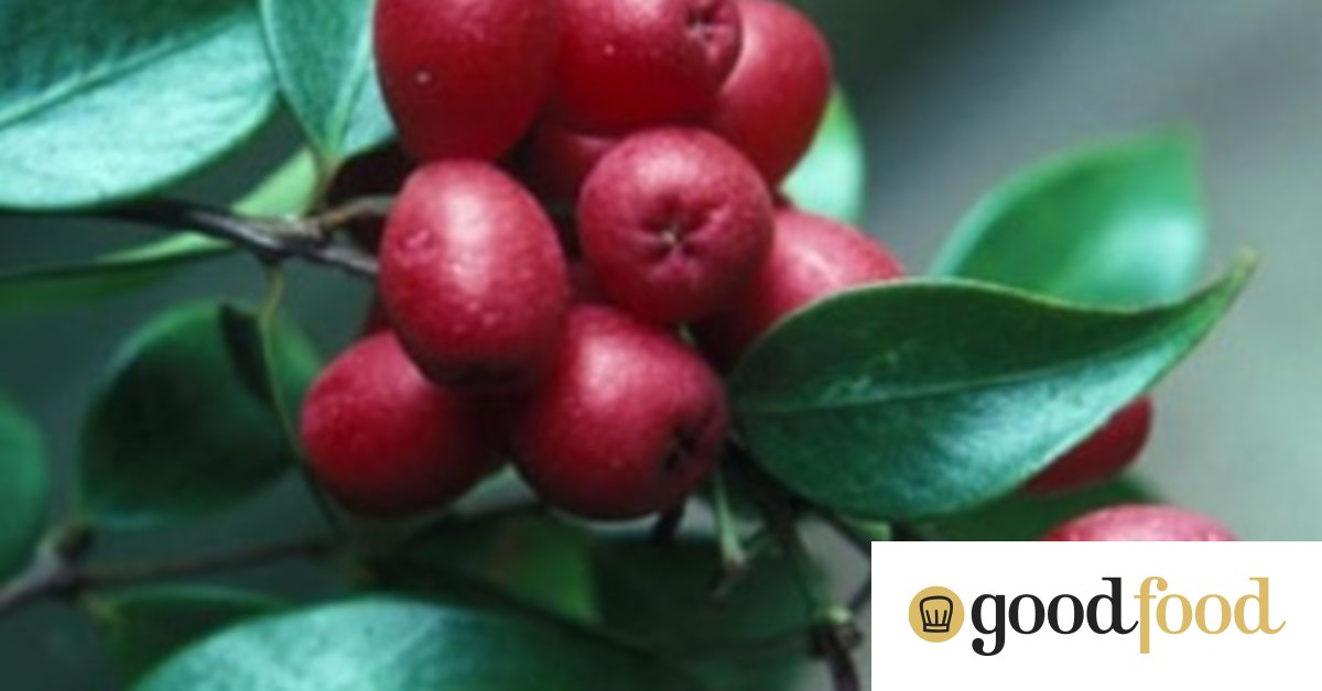 Lilli pilli and pear cake