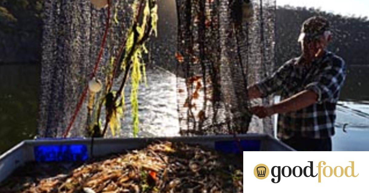 Come the raw prawn: fishing for compliments after a festive feed