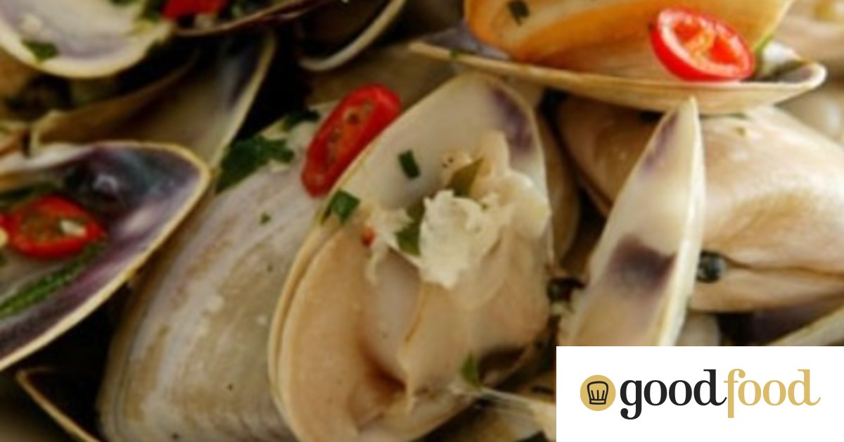 Steamed pipis in wine with tomato and garlic