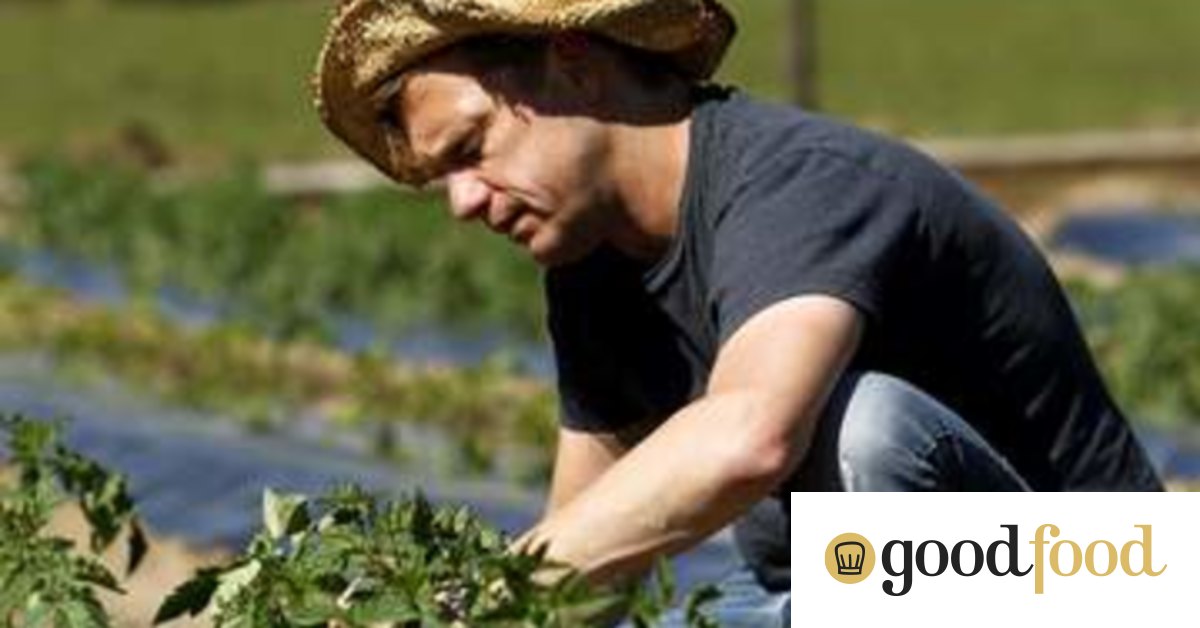 Boetz could be the key