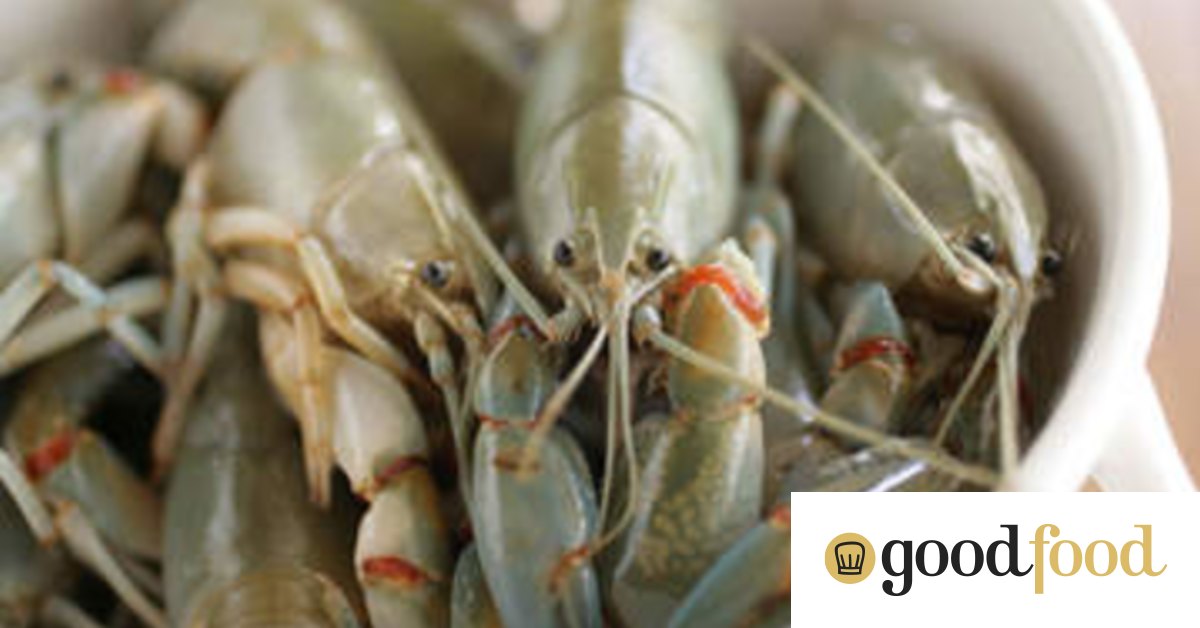 Yearning for yabbies