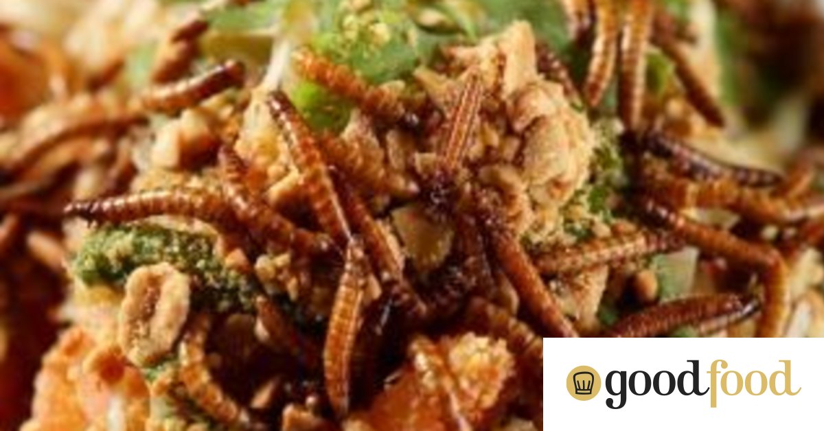 Insects on the menu at the Melbourne Night Noodle Markets