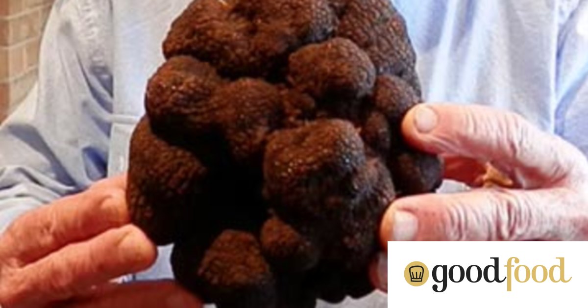 Australian truffle record set in NSW Southern Highlands