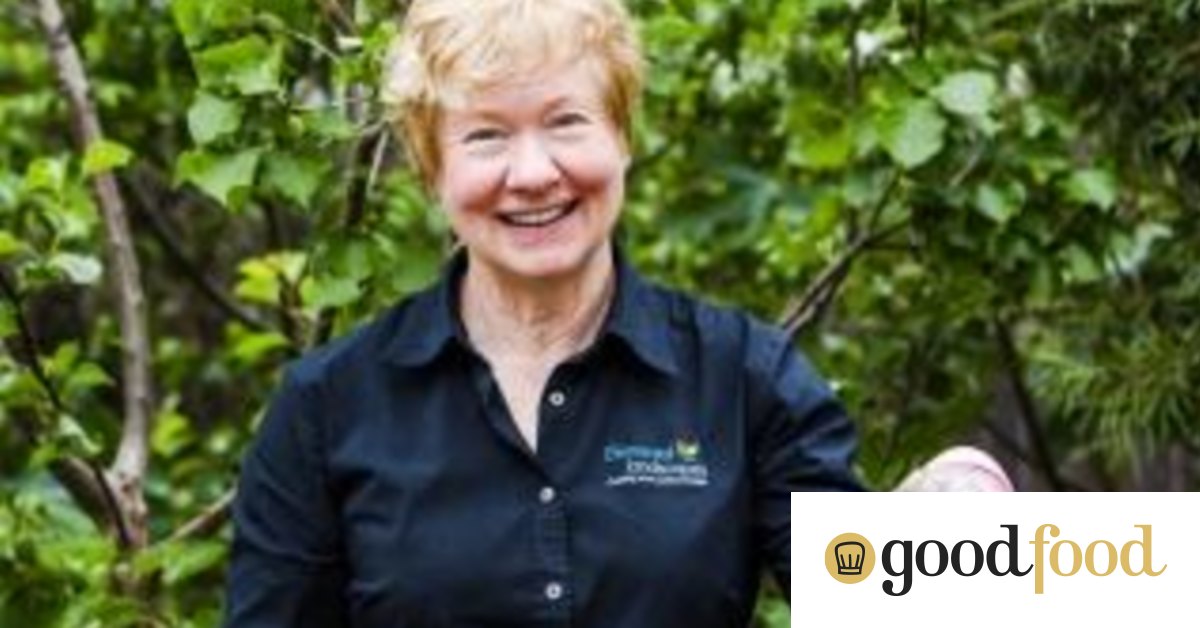Canberra professional gardener Vicki Still reveals what she is growing ...