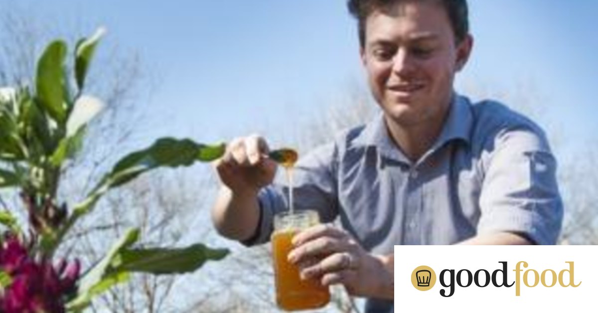 Dynamic bee-keeper Sam Malfroy is making a buzz in Canberra