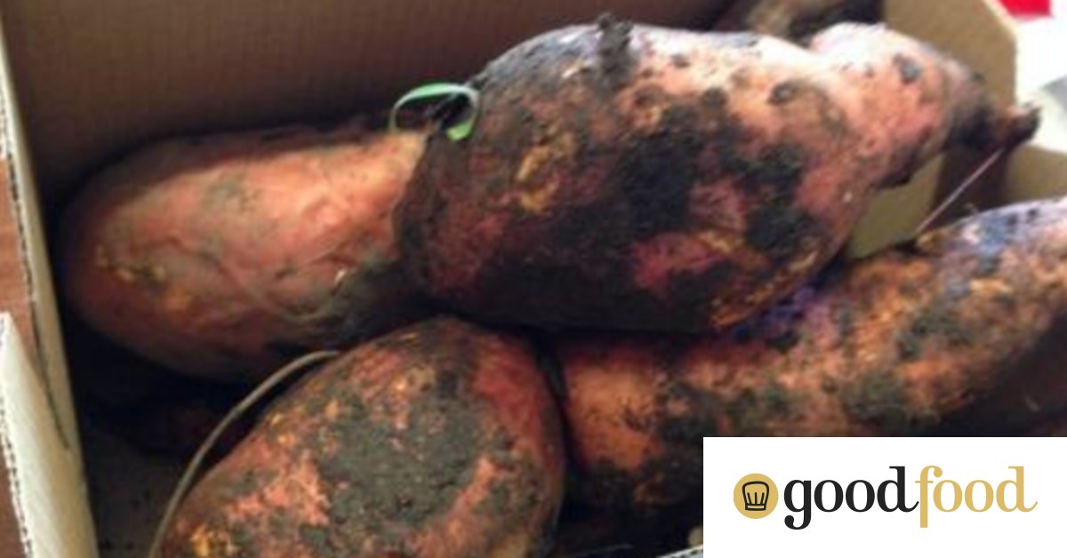 Cooma garden secrets revealed by the Robertsons