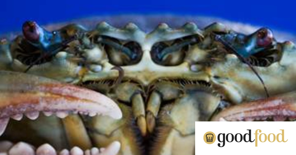 BYO crustacean to Malacca Straits