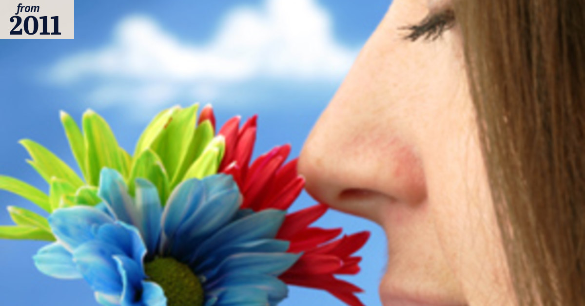 Life without a sense of smell