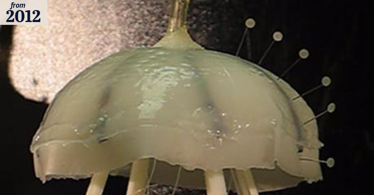 Robojelly 2.0: robotic jellyfish now powered by hydrogen