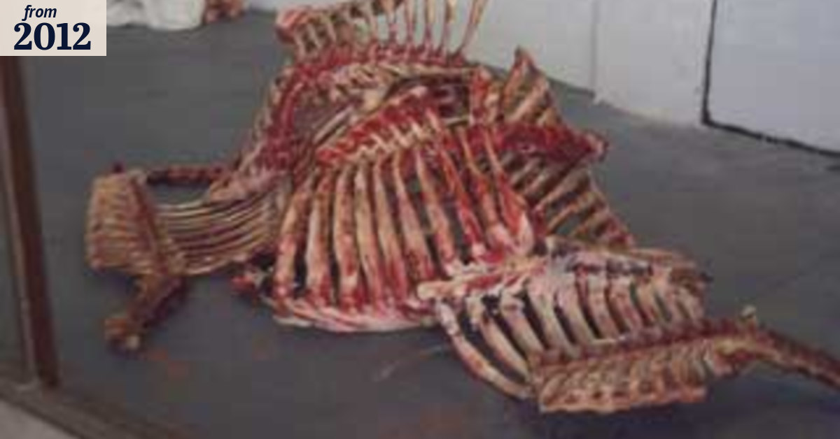 Getting creative with carcasses