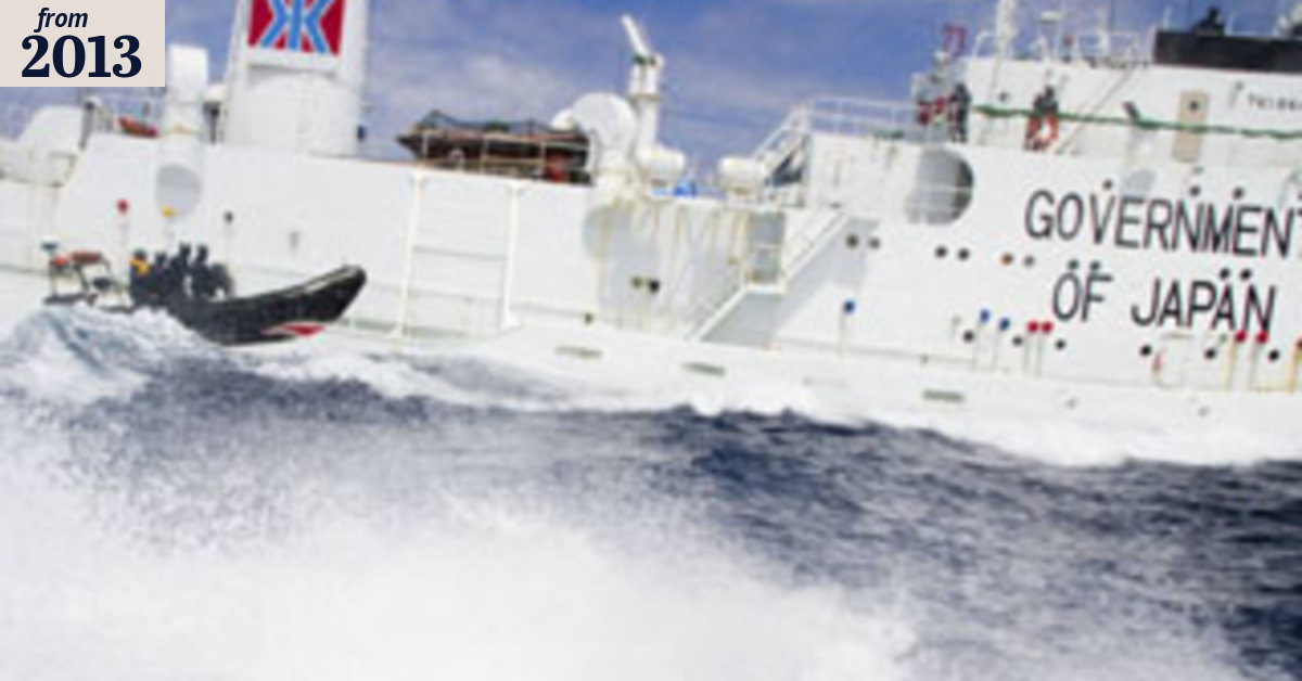 'Science' of Japanese whaling attacked in court case