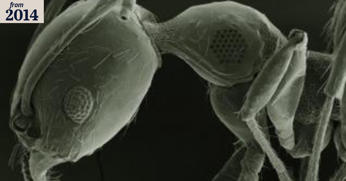 Science meets art in Stephanie Valentin's Closer exhibition