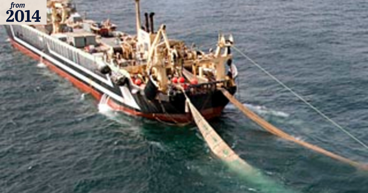 Federal court upholds ban on super trawler Margiris