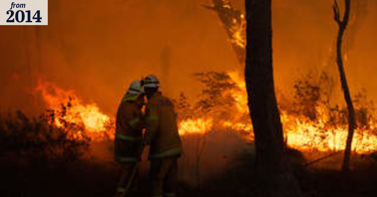Then and now - one year on from the Blue Mountains fires