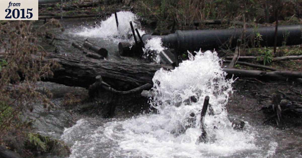 Springvale mine extension: Newnes Plateau swamps face uncertain future