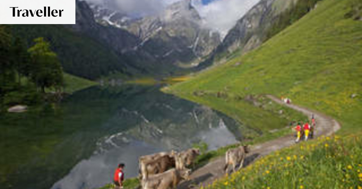 alpine install cowsay