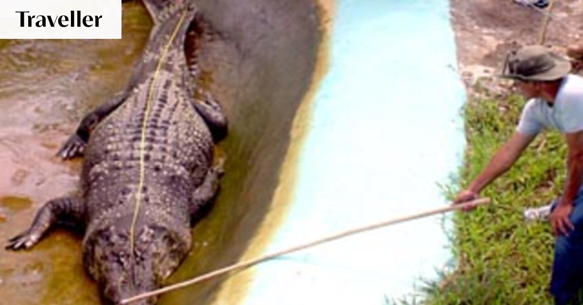 largest crocodile on record